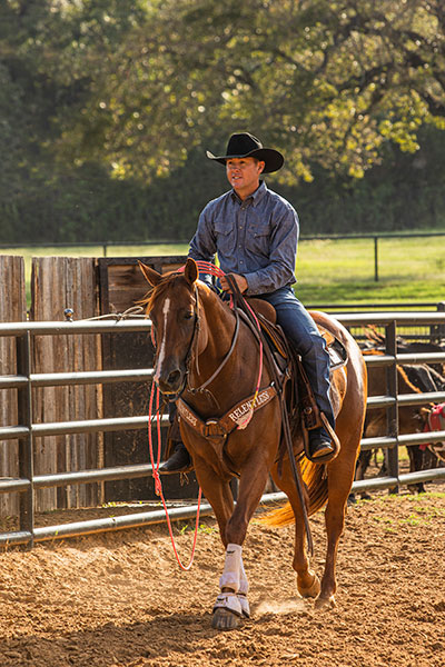 Trevor Brazile Recommends Platinum for his horse Texaco