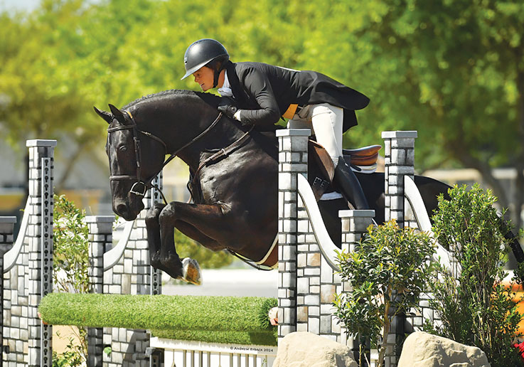 Power of Protein for Horses