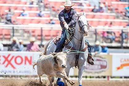 Platinum Riders | Equestrian Athletes