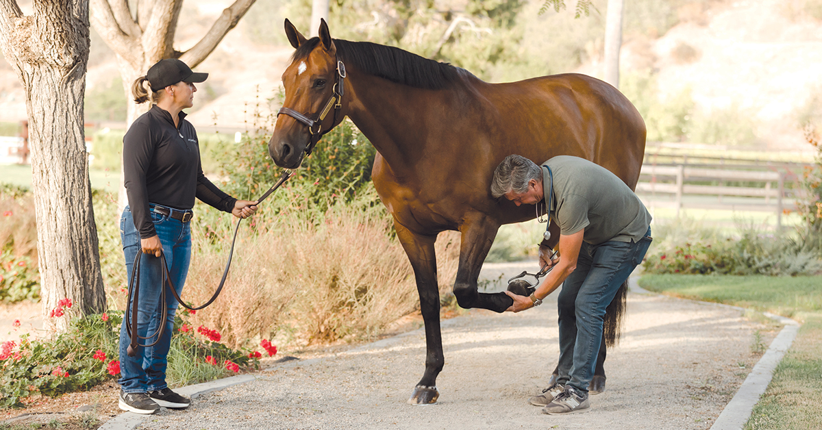 Navicular Syndrome: A Better Understanding