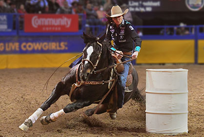 Barrel Racing Horse | Muscle and Joint Support