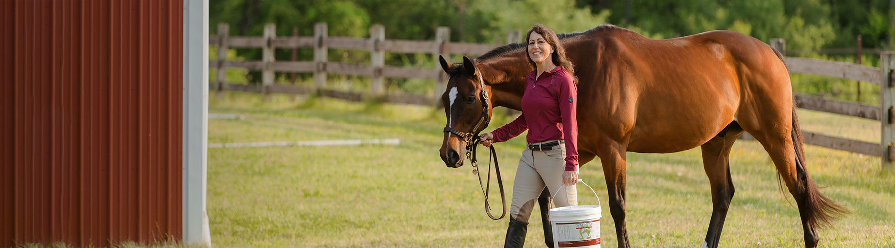 Buy Platinum Products in Bulk for Feeding Multiple Horses and Save