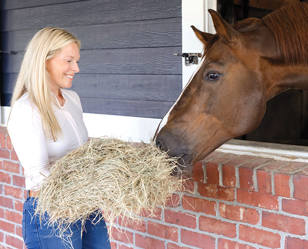 Equine Liver Health