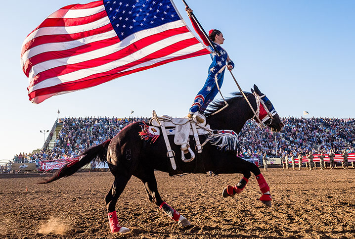 Platinum Riders | Equestrian Athletes