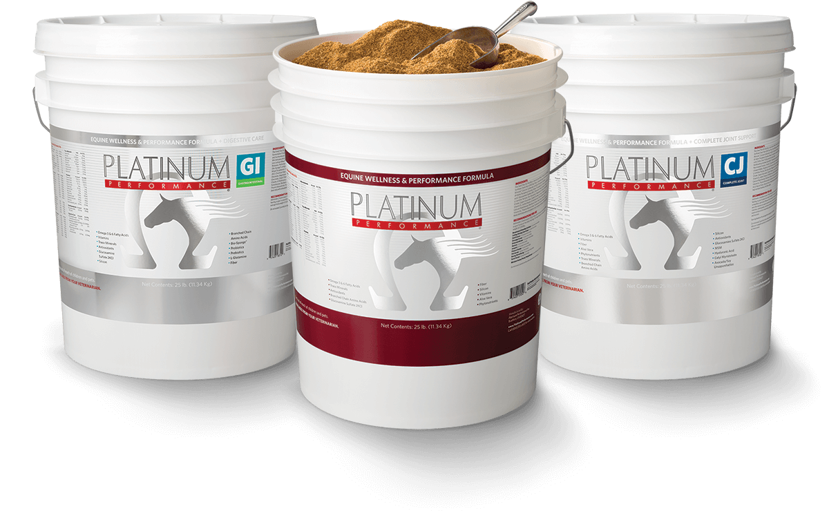 Horse Health | Equine Health & Wellness Supplements