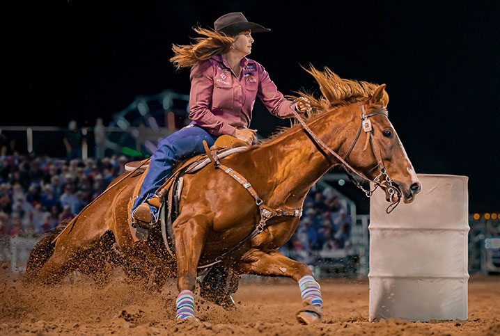 Platinum Riders | Equestrian Athletes