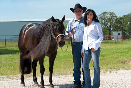 Platinum Riders | Equestrian Athletes