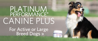 Canine Fertility Supplements | Reproductive Health for Dogs