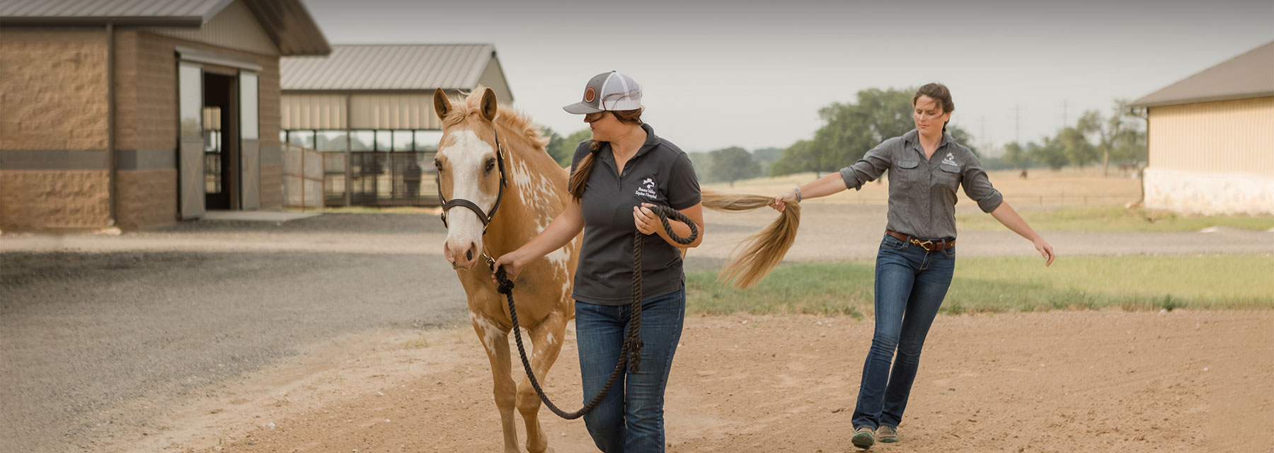 Equine Herpesvirus (EHV1): Going Viral