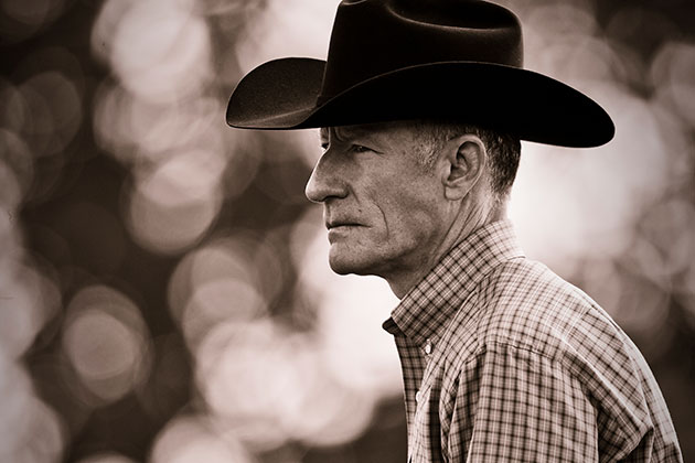 Lyle Lovett | Quarter Horse Breeder