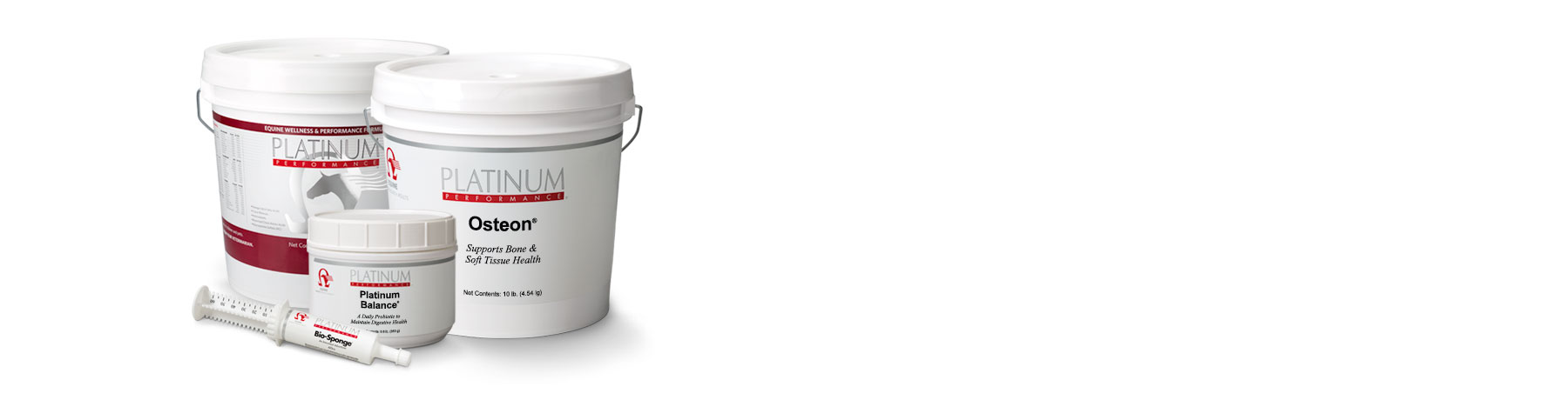 Foal Supplements | Foal Care Support