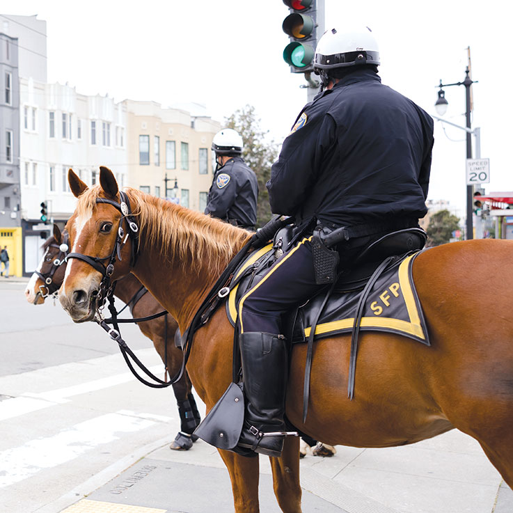 San Francisco Mounted Police