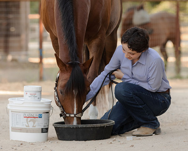 Platinum Colic Coverage - Is Your Horse Covered?