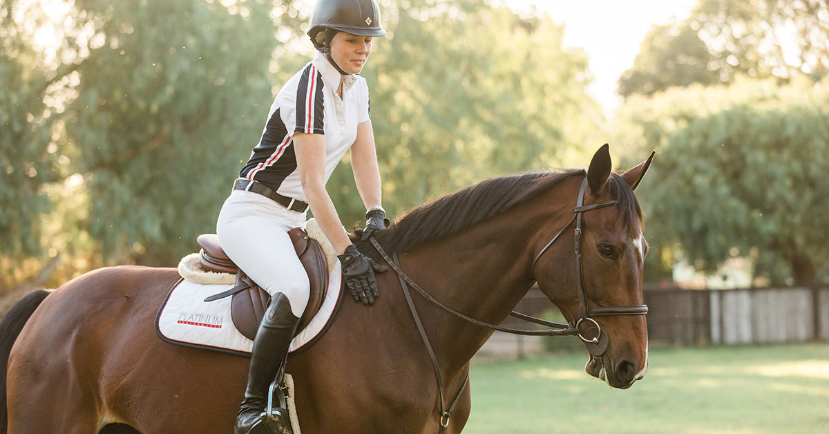 Summer Horse Health Tips | Caring for Horses in Hot Weather