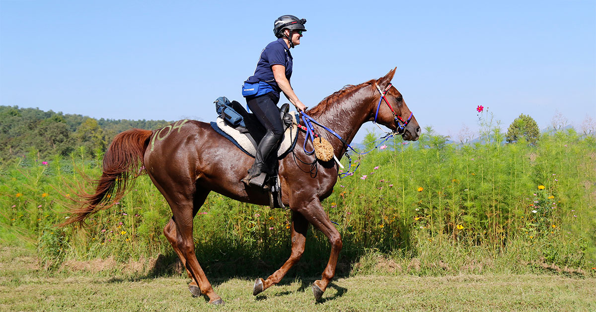 Endurance Rider Holly Corcoran