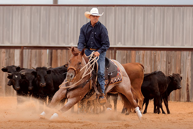 Rice Family | Boyd Rice and Sons