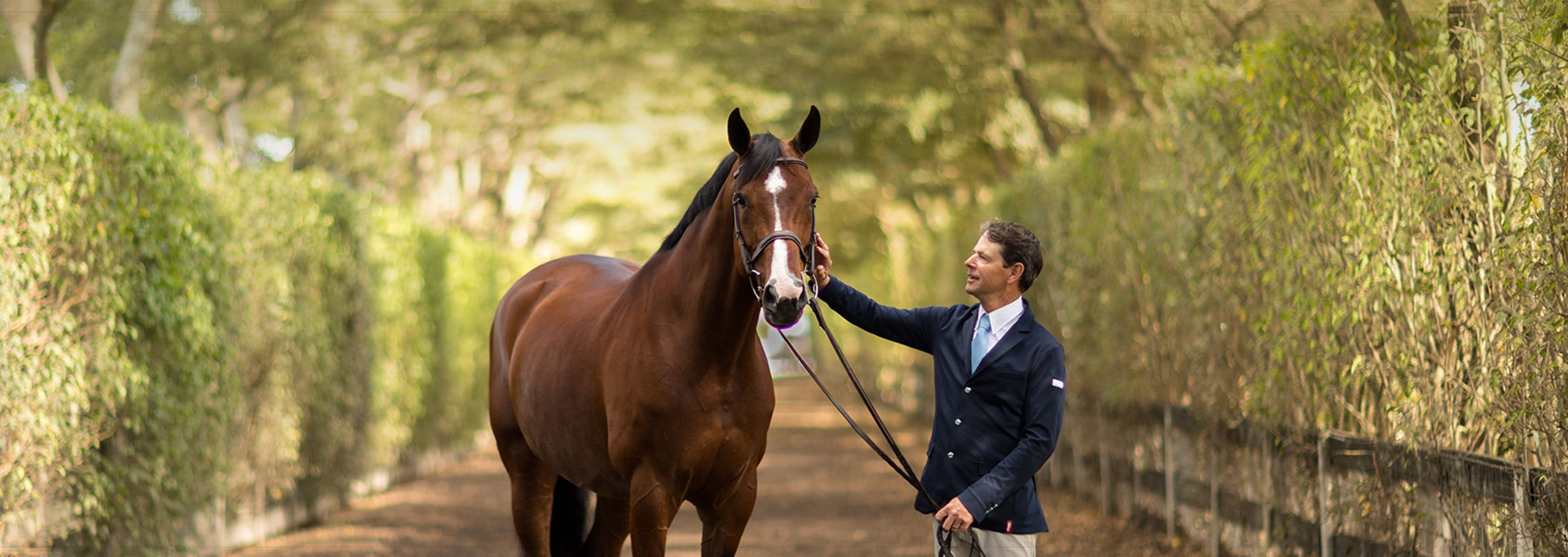 Horses Performance - Hunter - top