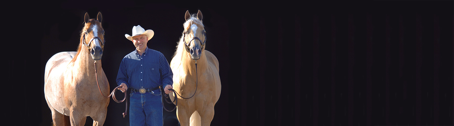 Horse Reproductive Supplements | Platinum Performance