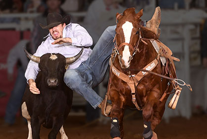 Rodeo Horse | Nutrition and Supplements