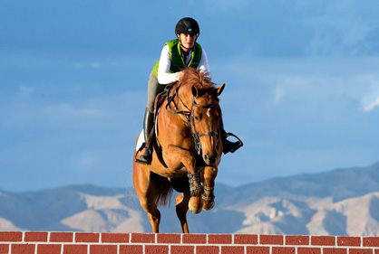 Platinum Riders | Equestrian Athletes