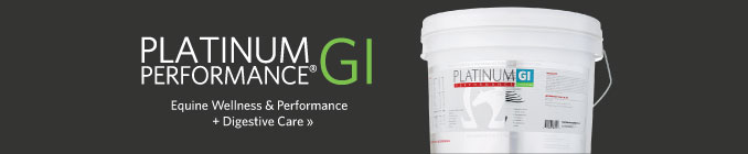 Pre-Measured Horse Supplements | Equine Vitamin Packs | Platinum PAK
