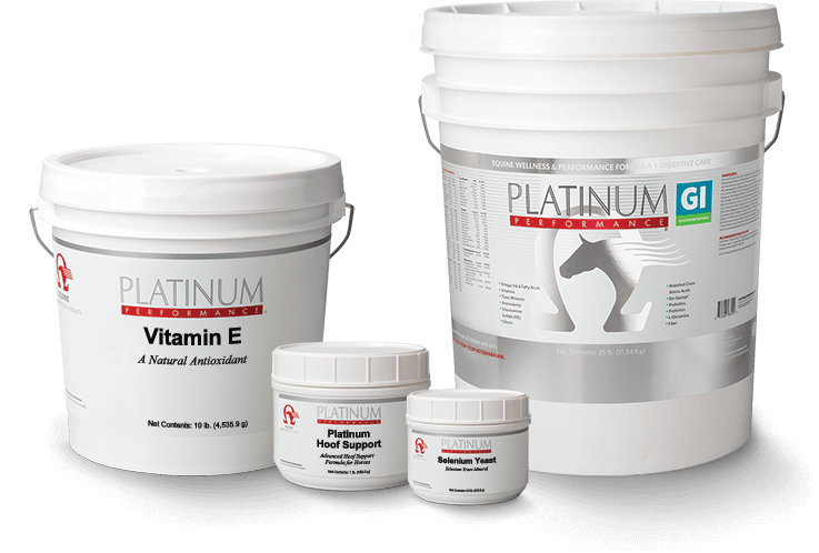 Anemia in Horses | Equine Anemia