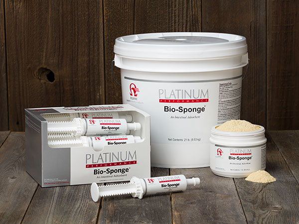 Bio-Sponge® for Horses