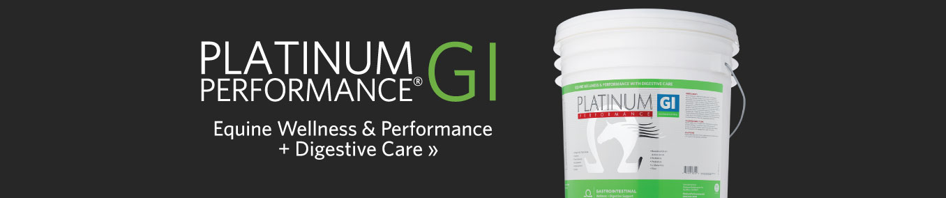 Aiding Equine Joint Longevity | Platinum Performance Article