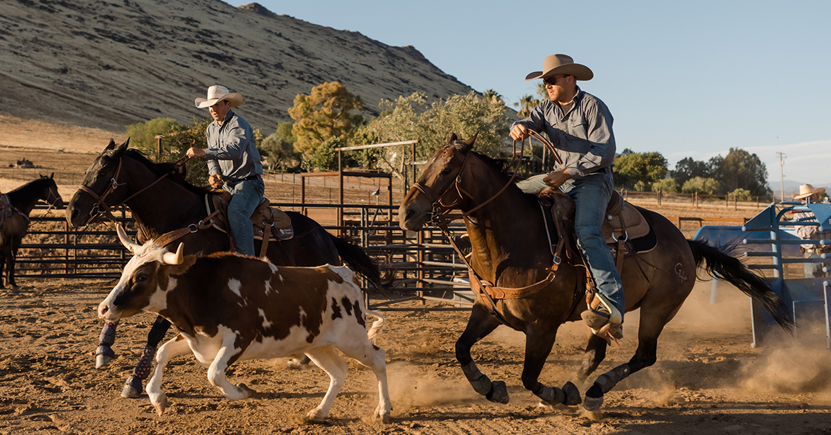 Dakota Eldridge | Steer Wrestling Champion