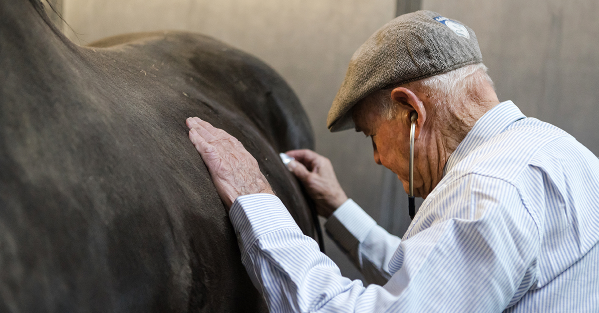 Dr. G. Marvin Beeman | Littleton Equine Medical Center