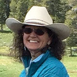 Pigeon Fever in Horses