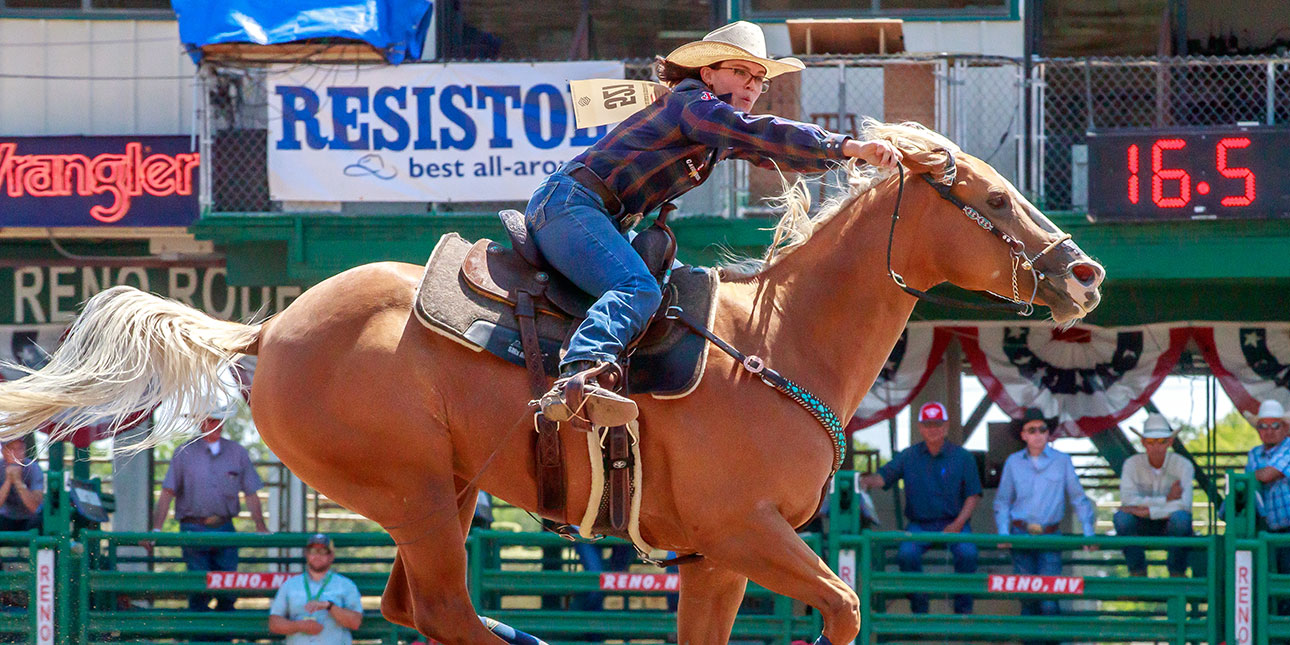 EIPH in Horses | Equine Exercise-Induced Pulmonary Hemorrhage