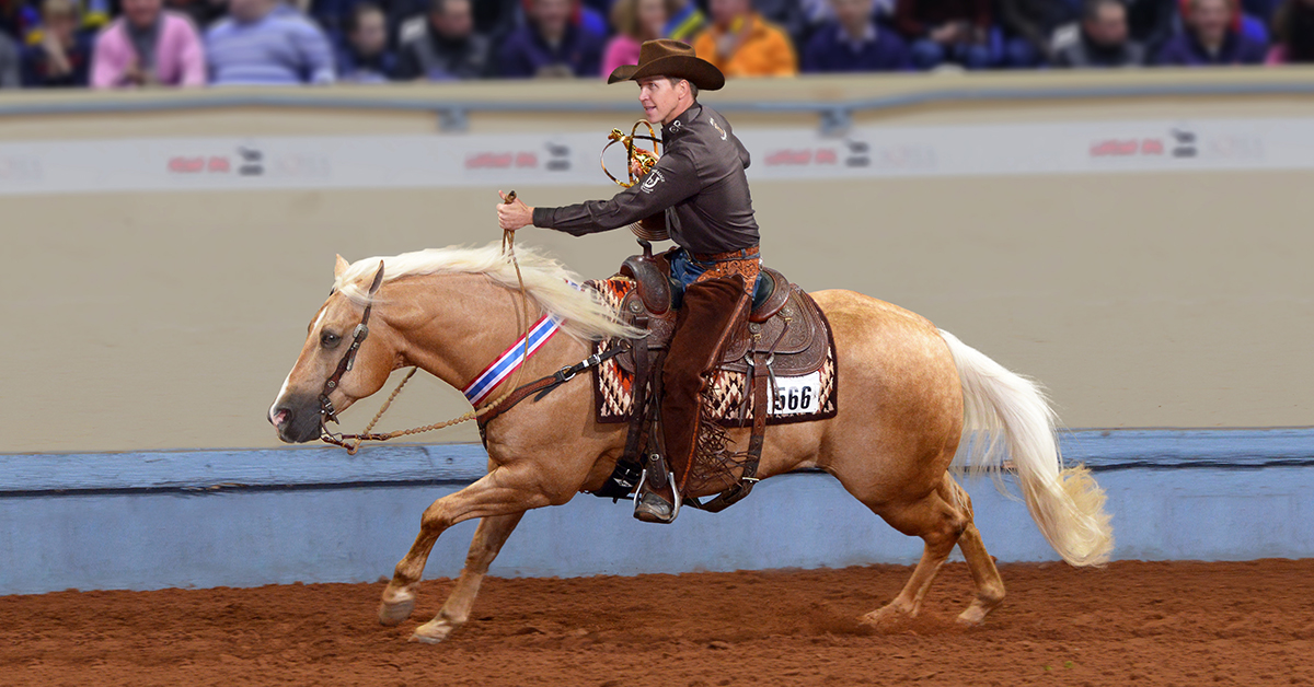 Bud Lyon Performance Horses Prefer Platinum Performance