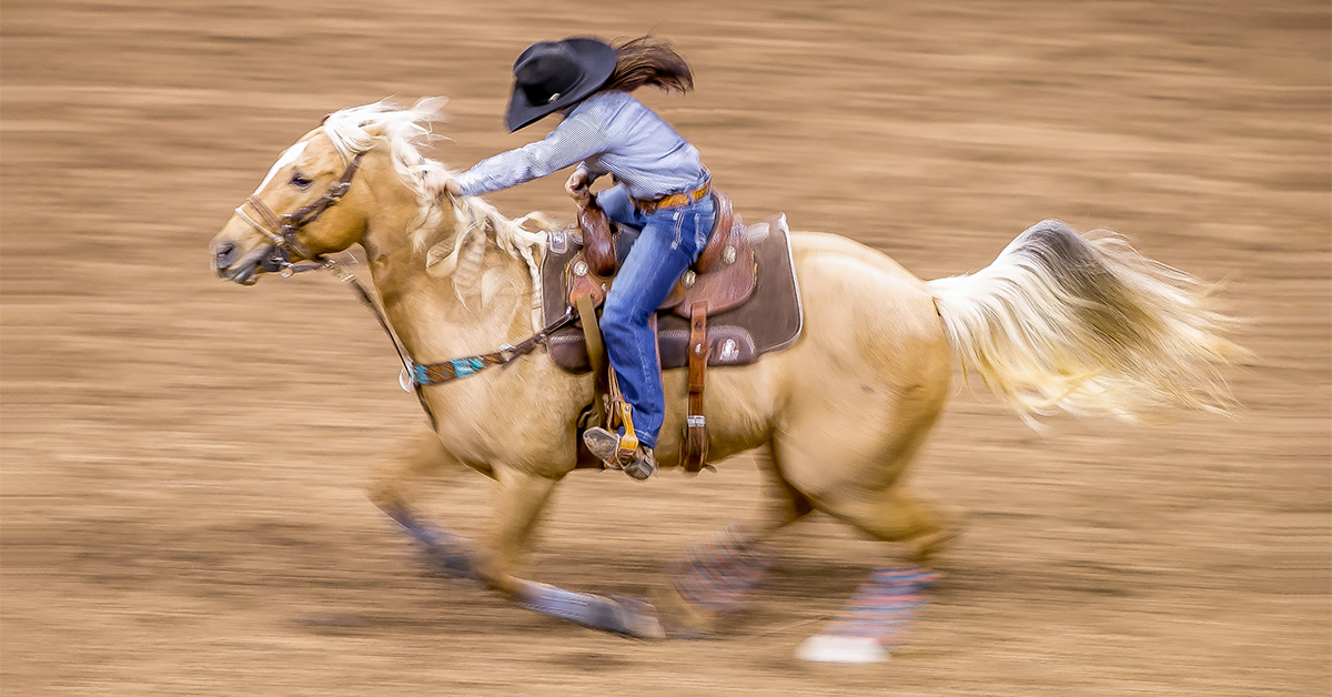 Hailey Kinsel | Horse Barrel Racing