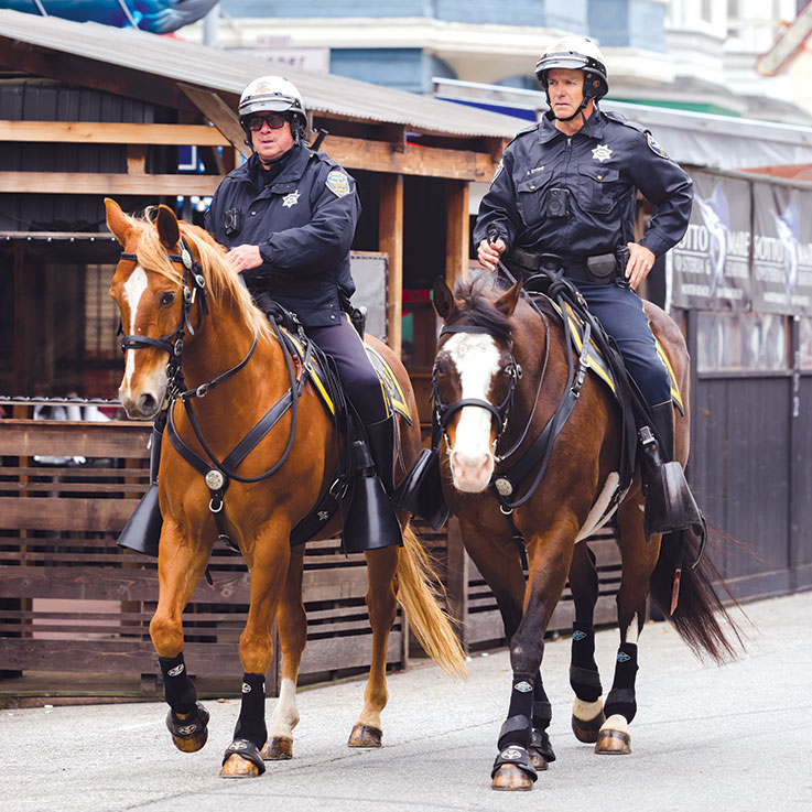 San Francisco Mounted Police