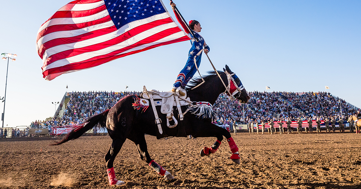 Madison MacDonald-Thomas | Platinum Equine Supplements
