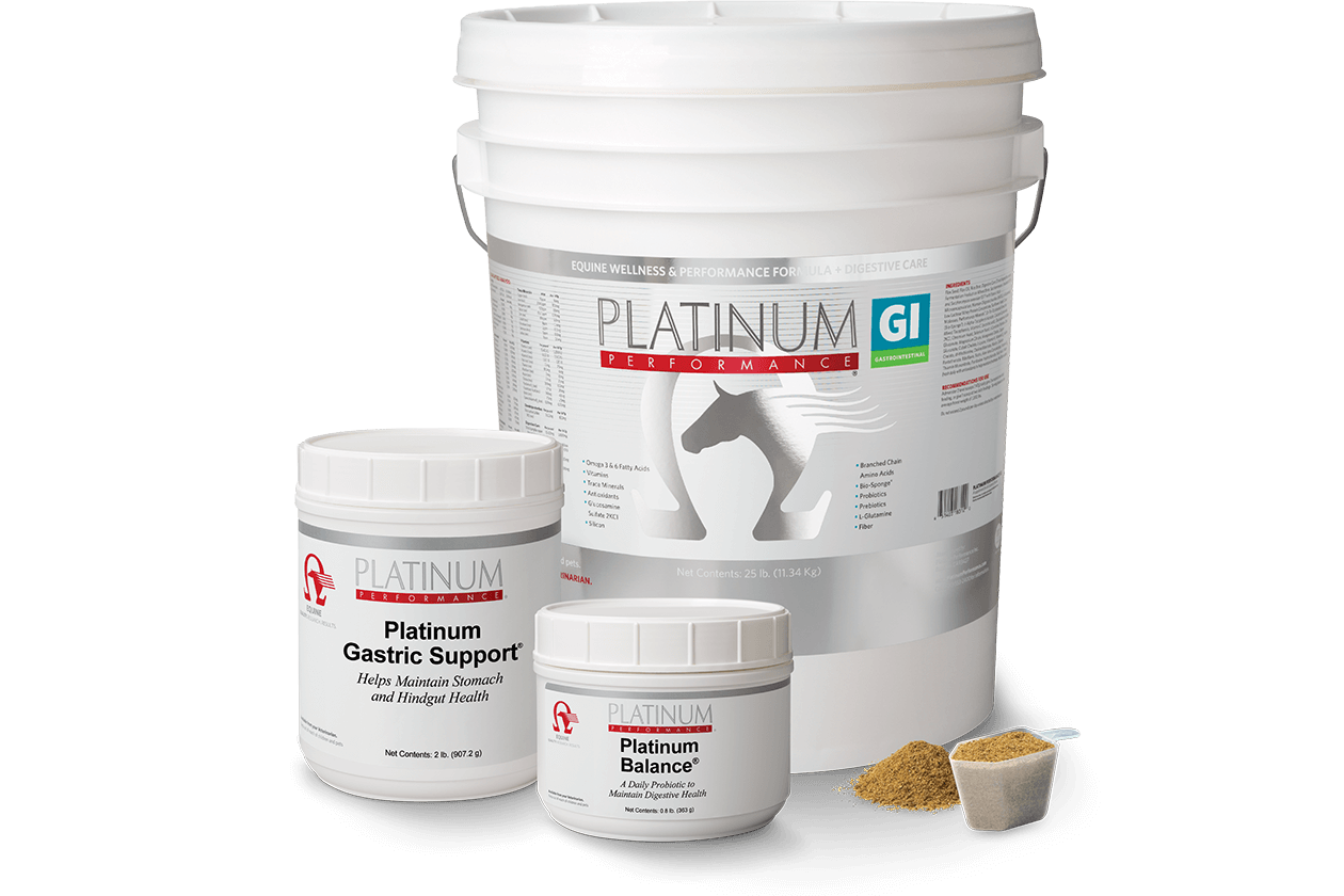 Equine Digestive Supplements | Horse Probiotics