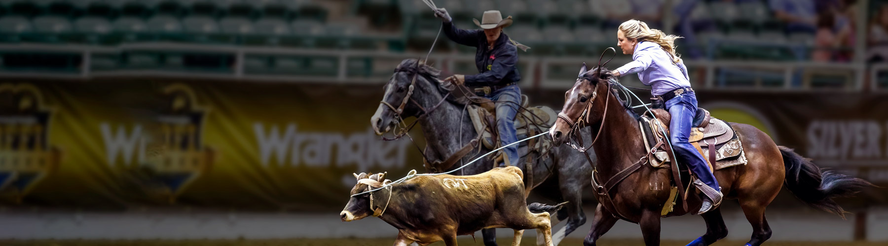 Team Roping - Western - Performance - Horses