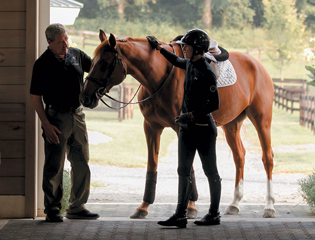 Horse Doctors | Equine Veterinarians