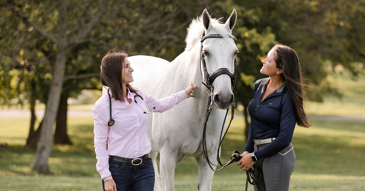 Annual Equine Wellness Exams | Health Care for Horses