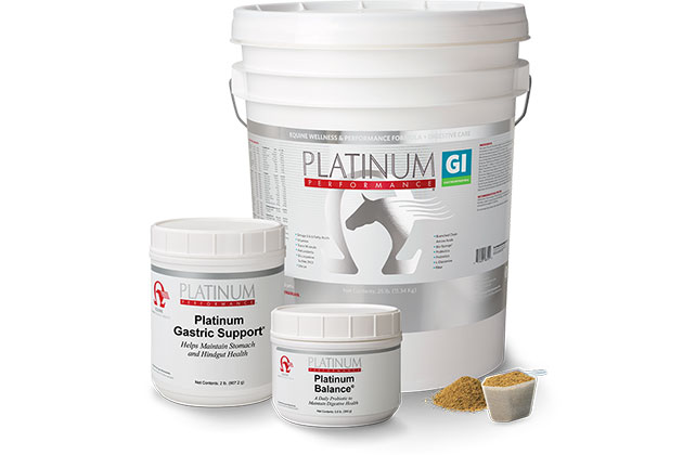 Equine Digestive Supplements | Horse Probiotics