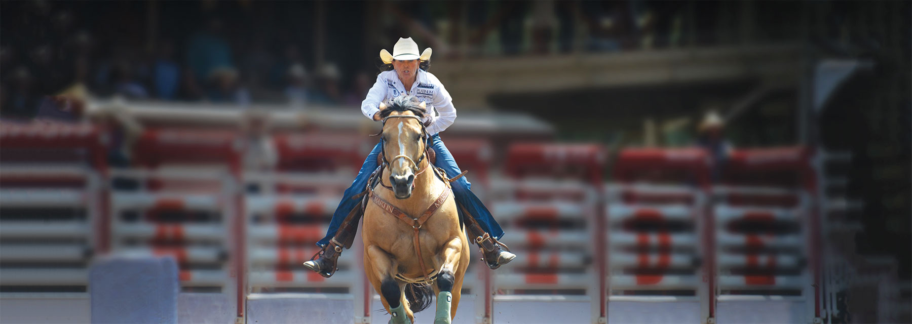 Barrel Horse | Muscle and Joint Support