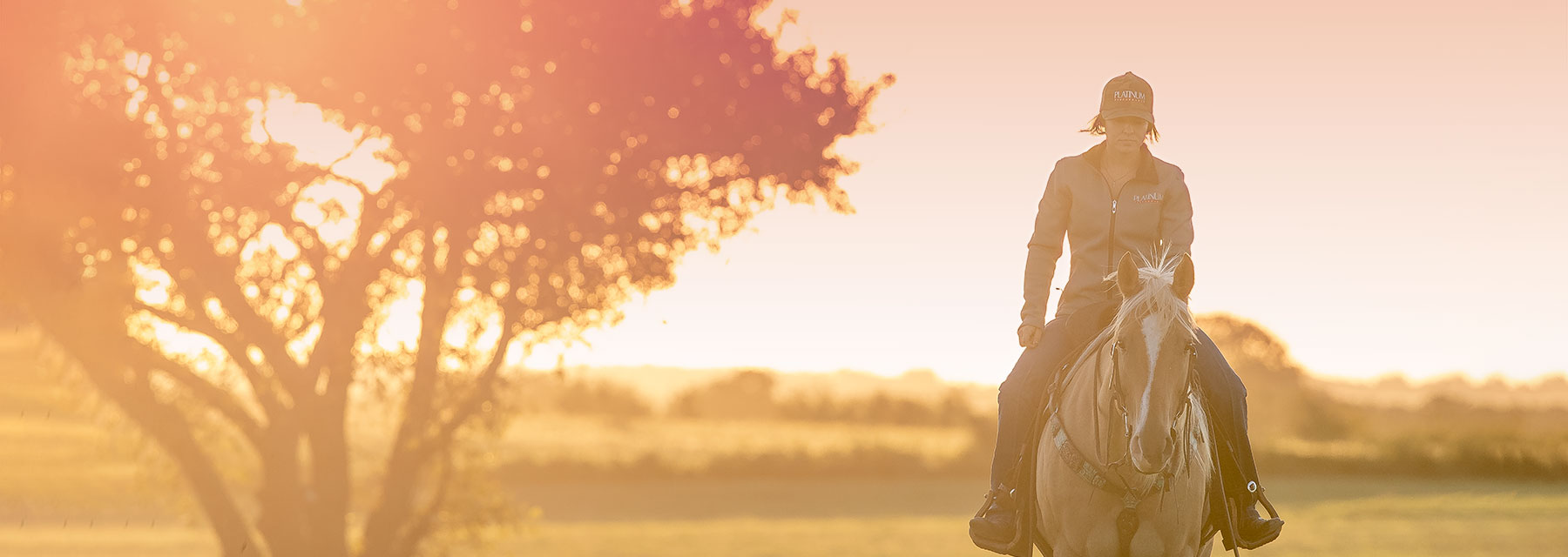 Hailey Kinsel, World Champion Barrel Racer