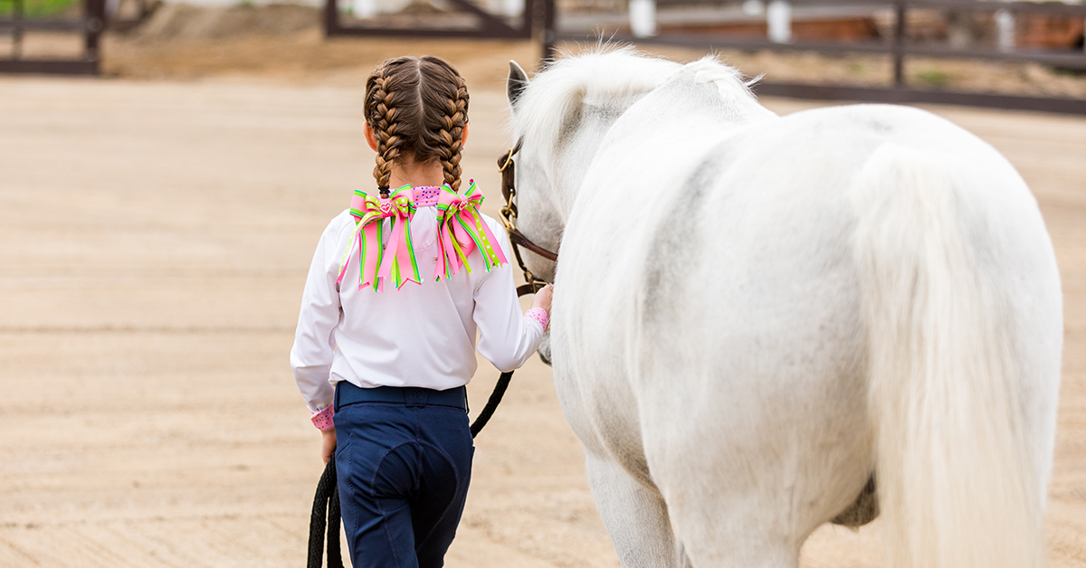 Colitis in Horses | Equine Colitis