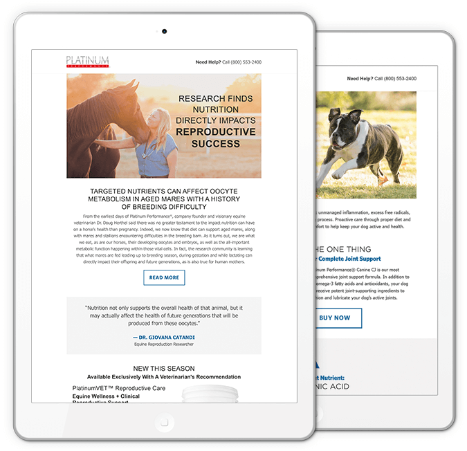 Platinum Performance Newsletter