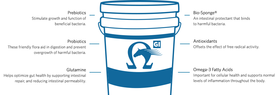Full Bucket Probiotic