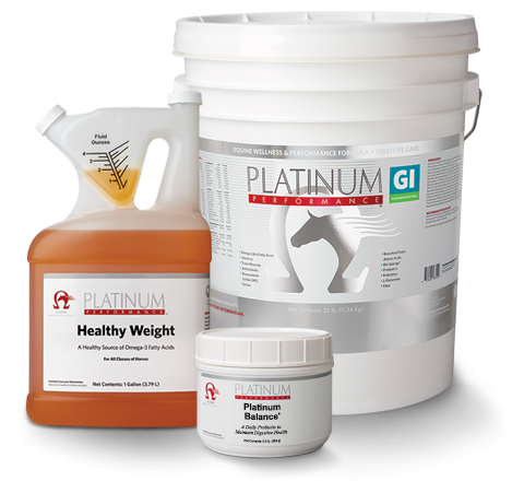 Weight Gain for Horses: Feeding Hard Keepers