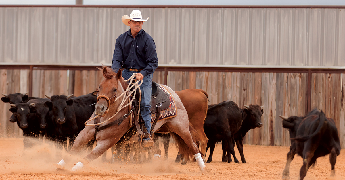 Platinum Performance Magazine | Horse Articles | Equine News