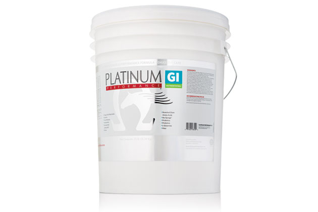 Immune System Supplements for Horses | Equine Immune Health