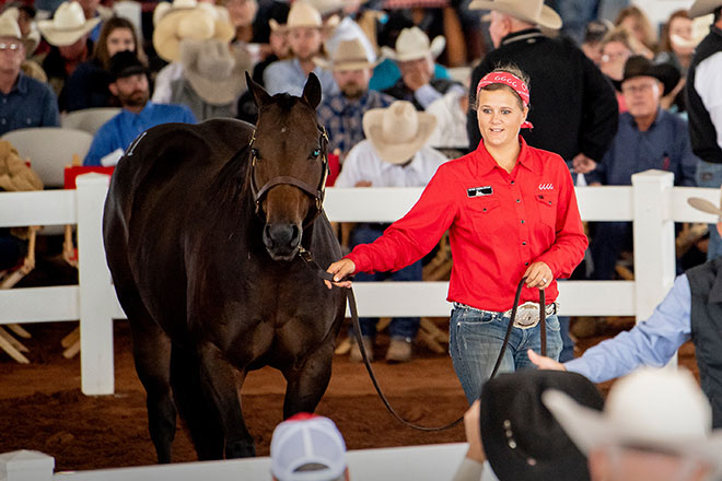 Four Sixes Ranch: The Legend of The Sixes